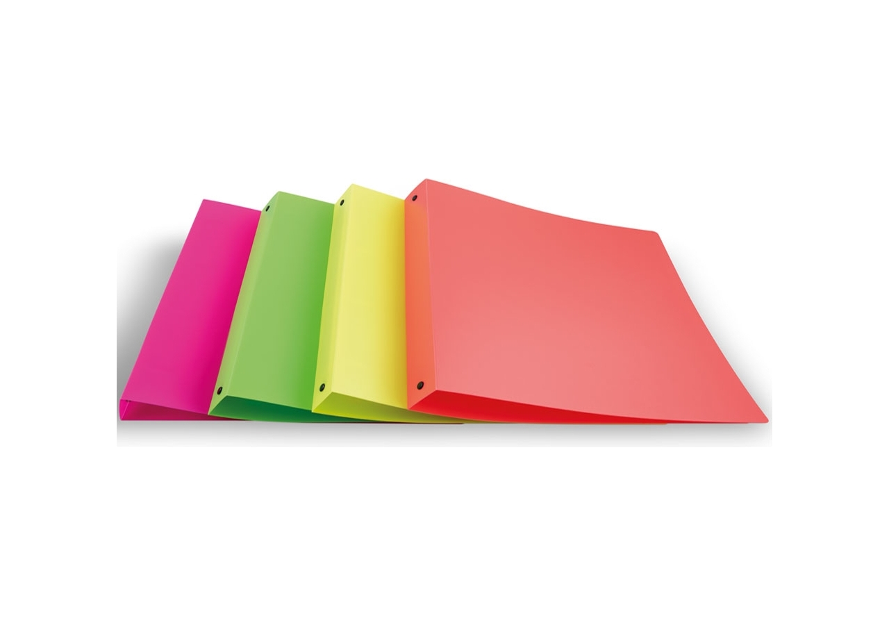 Raccoglitore 4 anelli